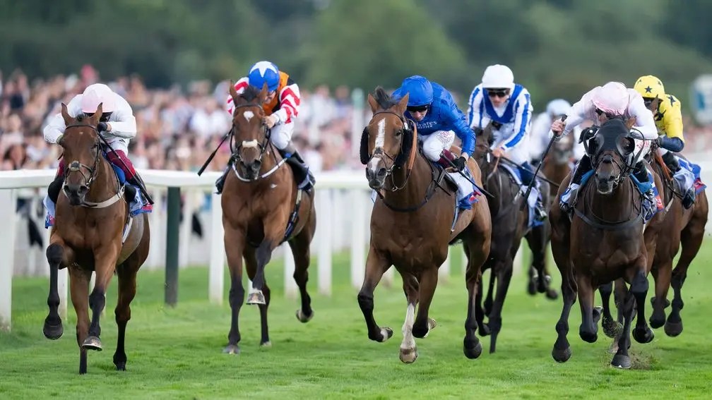 伊波讓賽，戴圖理再用同一招保送超情理去墨爾本盃 – Flameracing