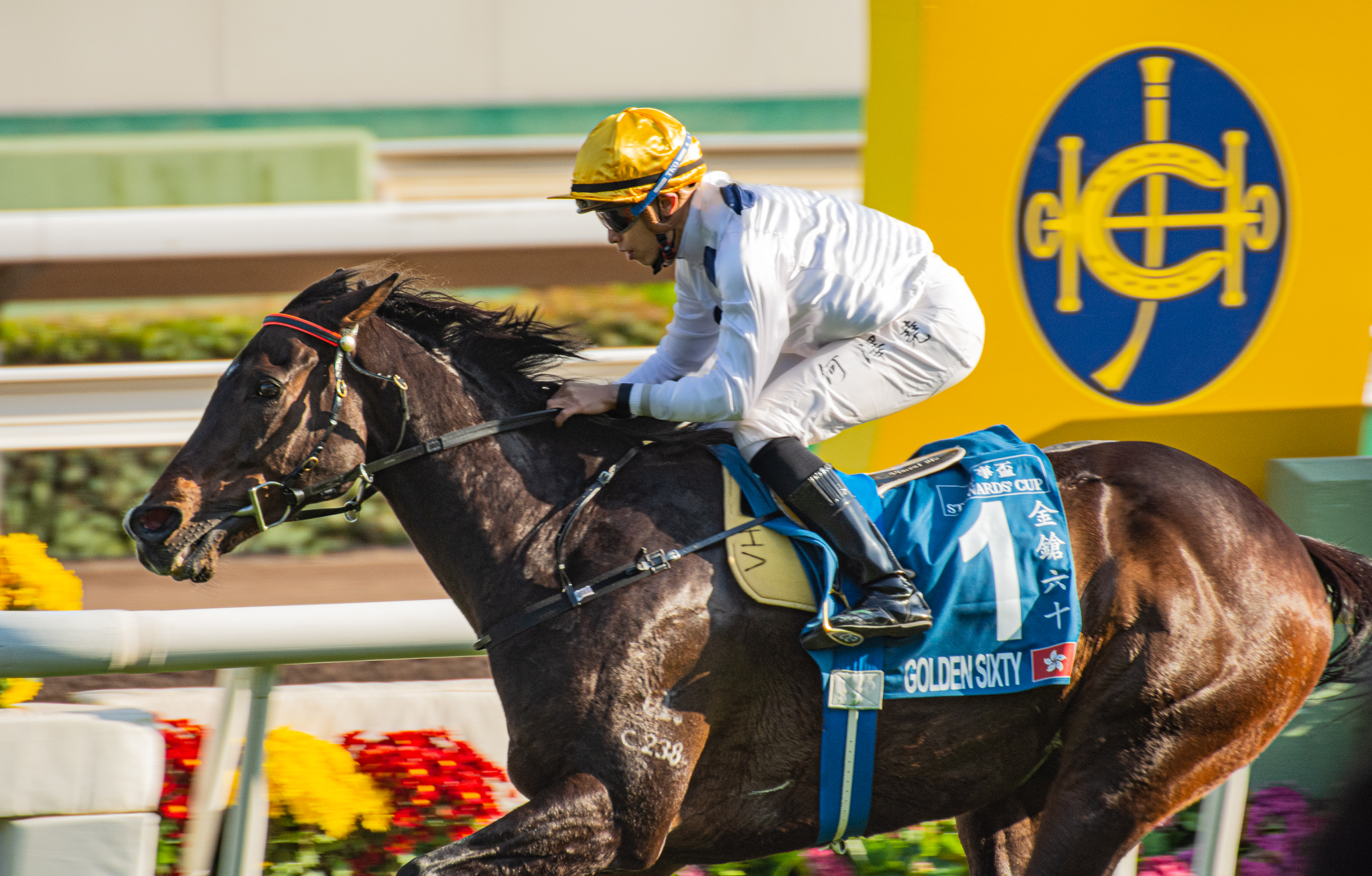 金鎗六十正式退役，9月22日齊歡送 – Flameracing