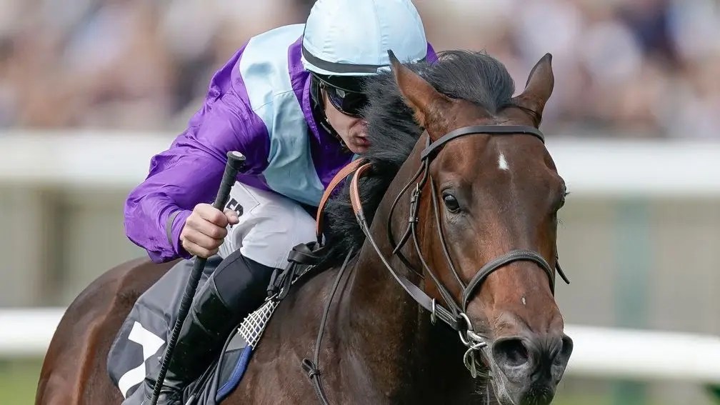 每日賽馬晚報（2025年6月17日），🇯🇵🇦🇺拼勝堡征戰金鷹錦標，🇬🇧Amo Racing購入捉刀手 – Flameracing