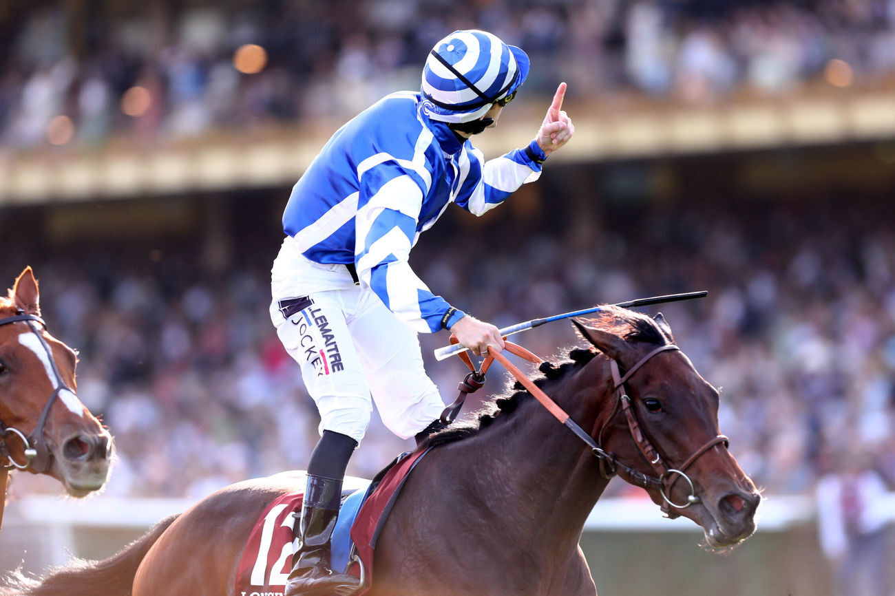 靛彩薇轉倉尋出路 – Flameracing