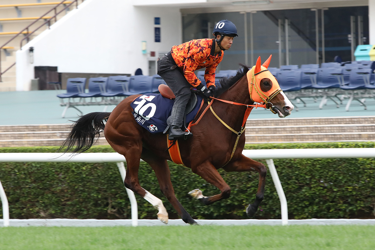 匯兩川黯然退役 – Flameracing