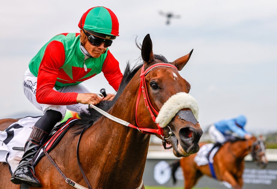 每日賽馬晚報（2024年1月29日），🇯🇵Regaleira及Ascoli Piceno直跑經典賽，🇿🇦卡拉公主馬略卡錦標回復本色 – Flameracing