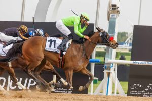 杜拜世界盃賽馬日，雙河上飛上枝頭，英宮塔堡奪冠 – Flameracing
