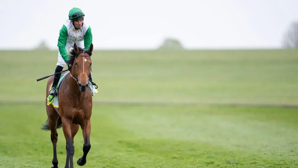 卡拉芬錦標，悍蹄耐戰仍然未衰弱 – Flameracing