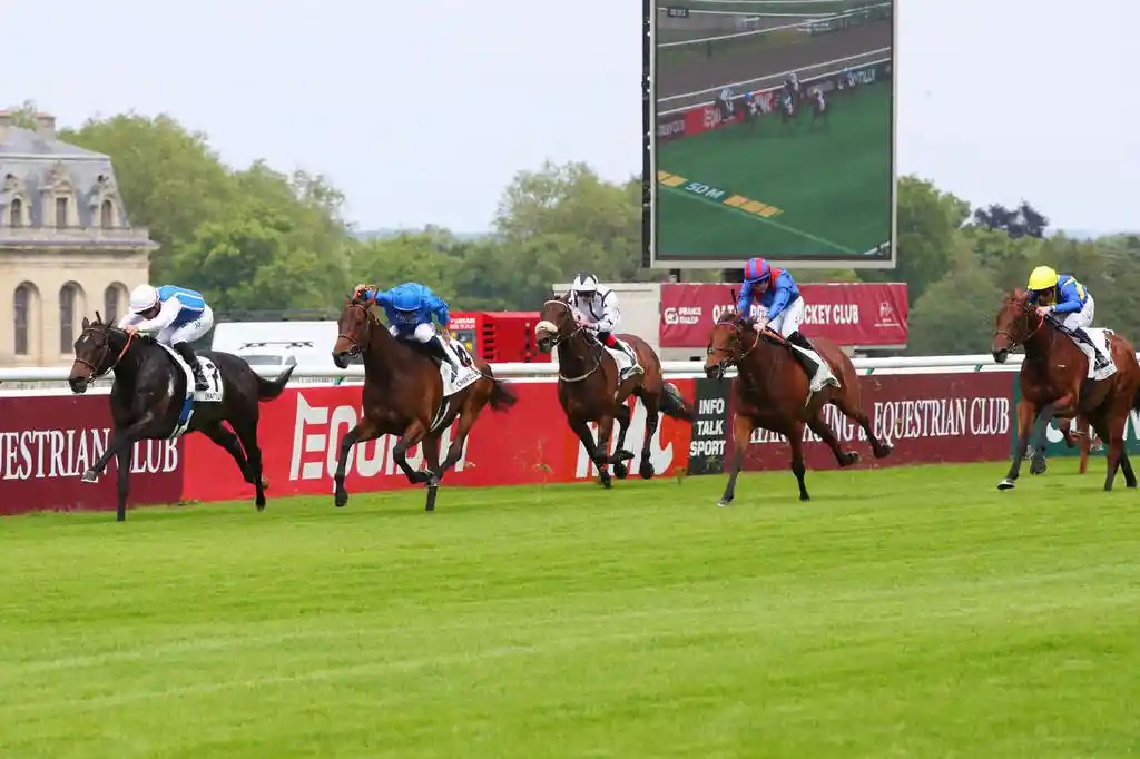 每日賽馬晚報（2024年6月3日），🇦🇺勝願反勝美孫女，🇫🇷真強尚蒂伊大賽力退廐侶 – Flameracing