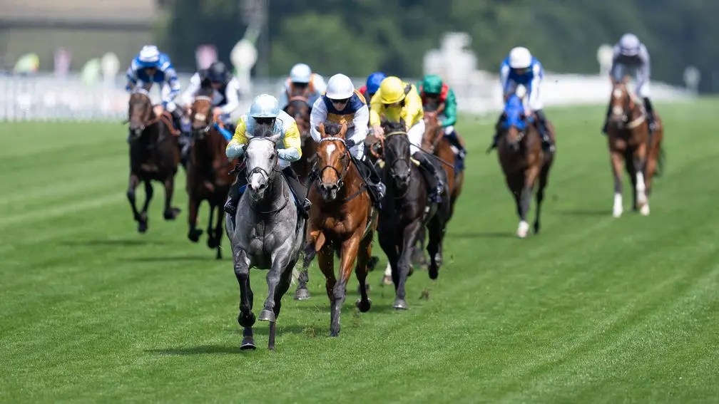 女皇安妮錦標，卓倫谷發揮真實力 – Flameracing