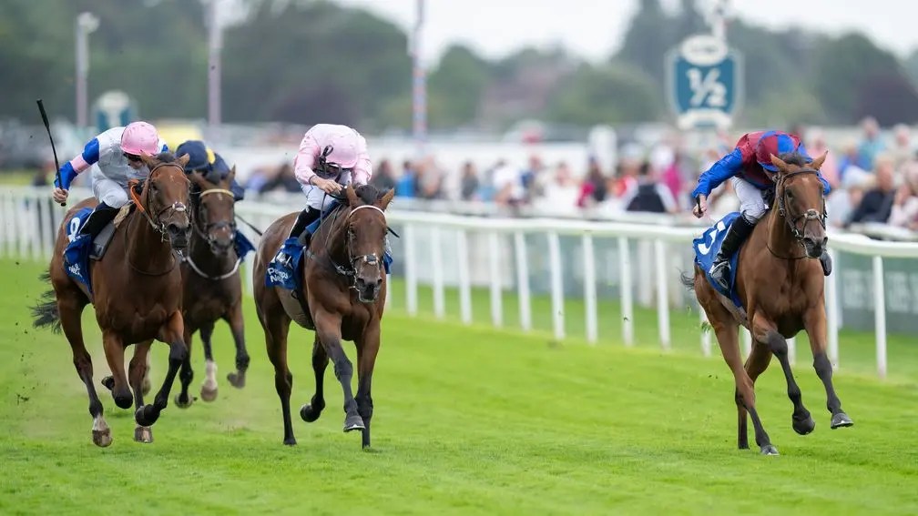 約克郡橡樹大賽，滿足全程暢通可擊 – Flameracing