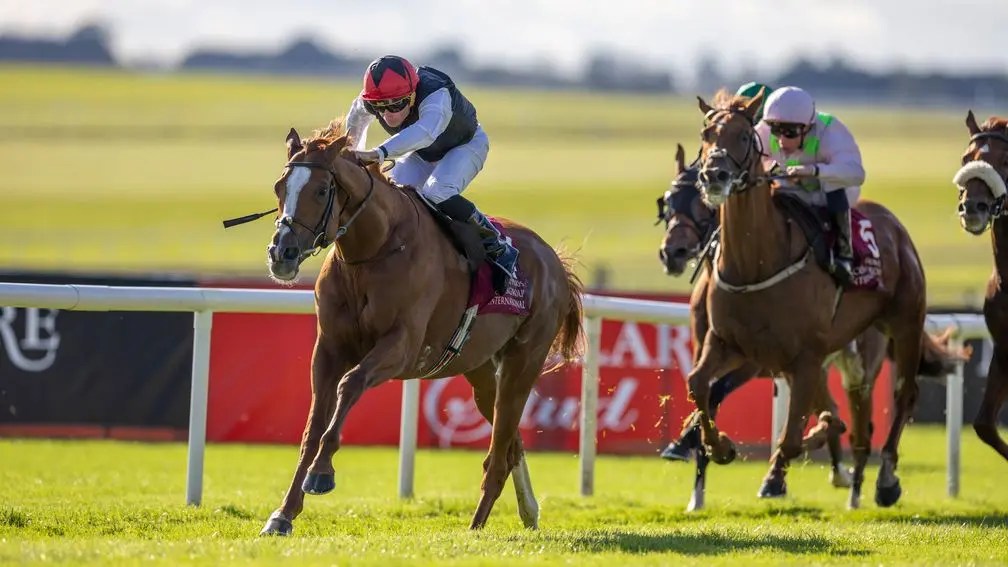 愛爾蘭聖烈治錦標，饒舌達人保持無敵 – Flameracing