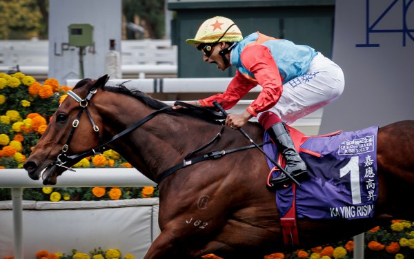 2024-25年香港賽馬大事回顧（3），世界強豪來襲，港隊全心應戰。速度系列及三冠大賽由同一駒稱霸 – Flameracing