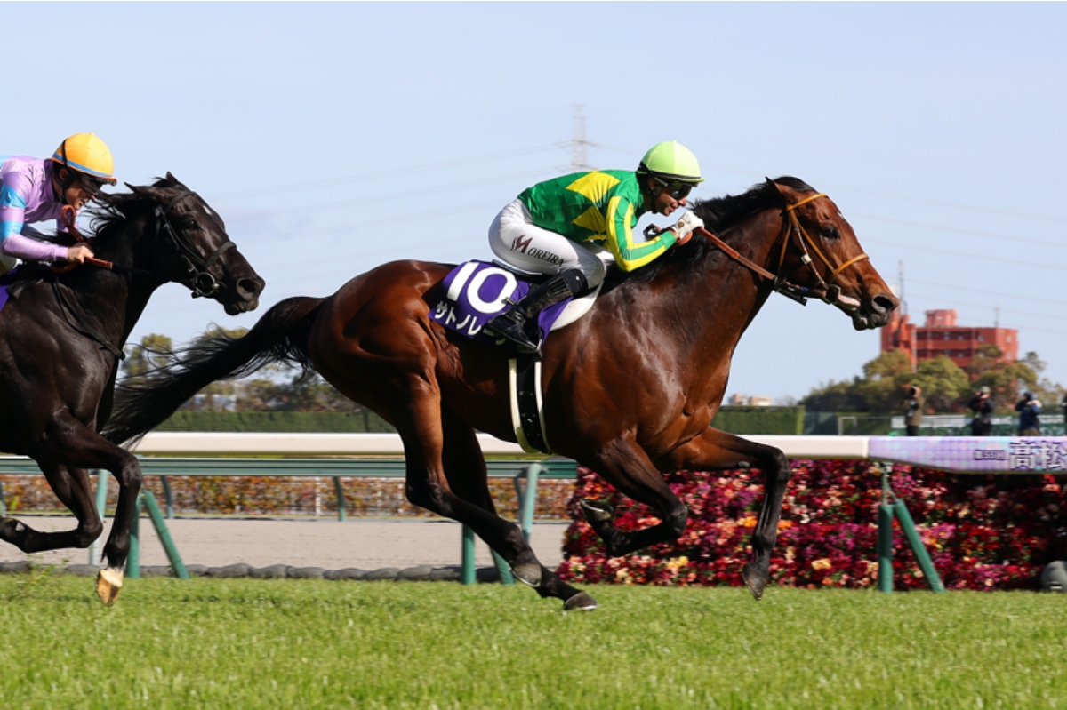高松宮紀念賽，里見夢境雷神發威 – Flameracing