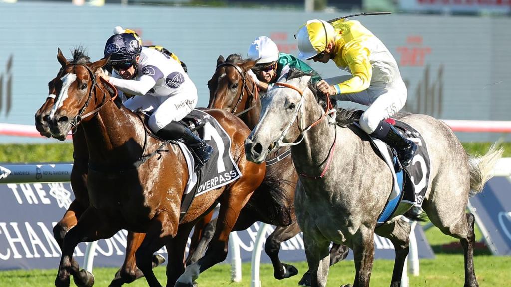每日賽馬晚報（2025年10月1日），🇫🇷劇唱一姐加入18駒留位凱旋門，🇯🇵Jasper Robusto強行軍照贏白山大賞典 – Flameracing