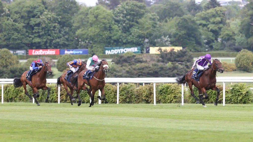 並非單騎對決，而是有十九匹馬參戰的葉森打吡 – Flameracing