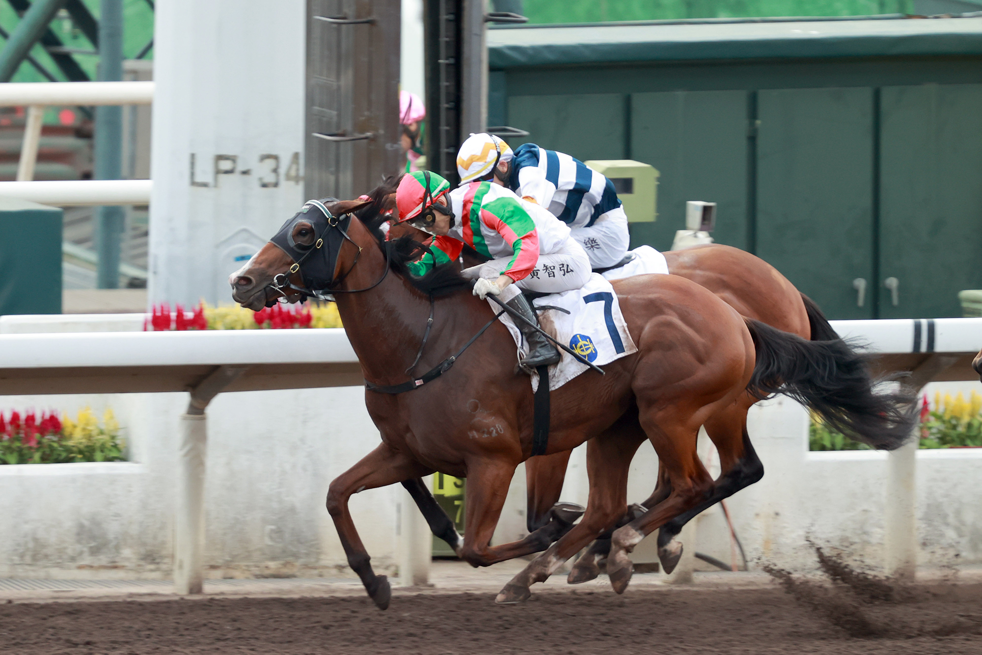 每日賽馬晚報（2025年5月18日），🇯🇵🇫🇷耀目帝因賽制選戰巴黎大賽，🇬🇧愛蹄村紐百利取下久違勝利 – Flameracing