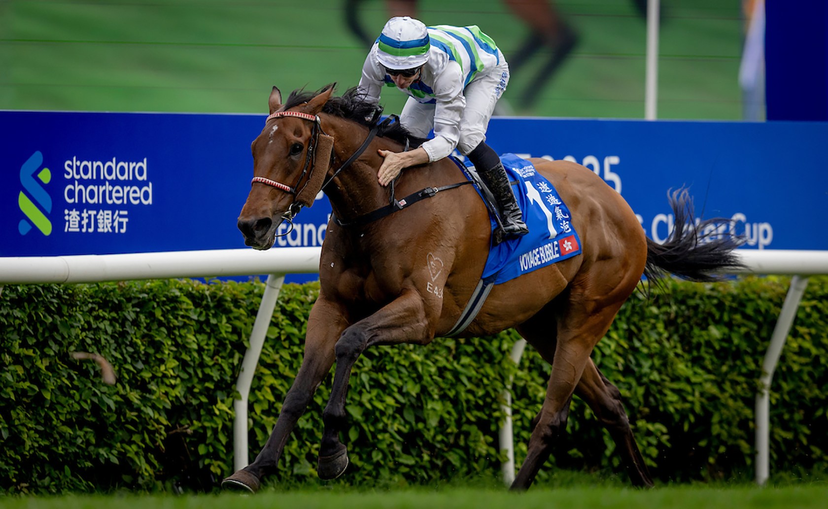 遮打盃，遨遊氣泡達成香港三冠！ – Flameracing