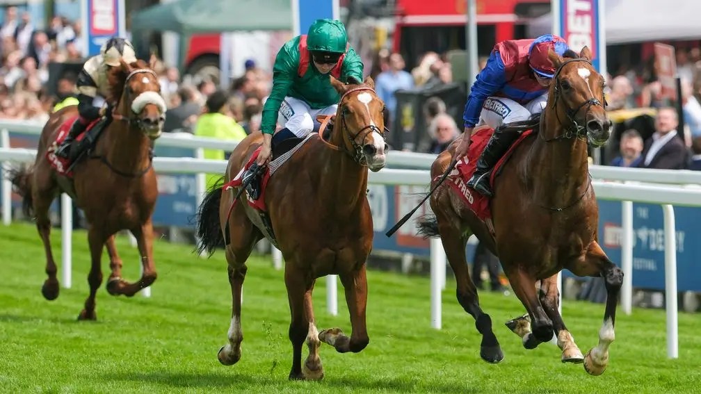 加冕盃，唯妙唯肖讓格倫島一級賽再做二奶 – Flameracing