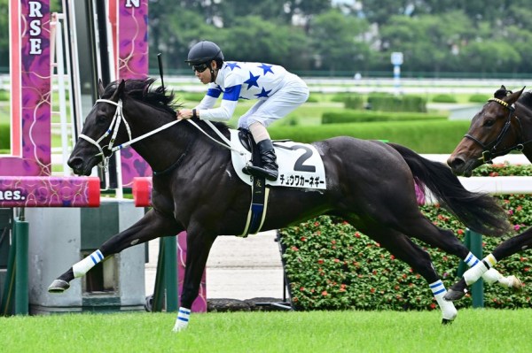 每日賽馬晚報（2025年6月7日），🇯🇵滿樂時子嗣取下JRA新馬賽一番槍，🇺🇸Good Cheer首敗現不安之兆 – Flameracing