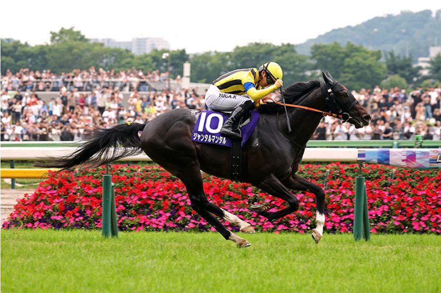 安田紀念賽，遠觀天象前途宏大 – Flameracing