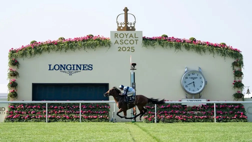 頂級學院力圖征服德意志（已退出賽事） – Flameracing