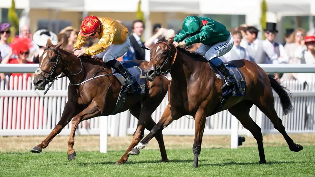 神鋒斷鐵有力爆多劑？ – Flameracing