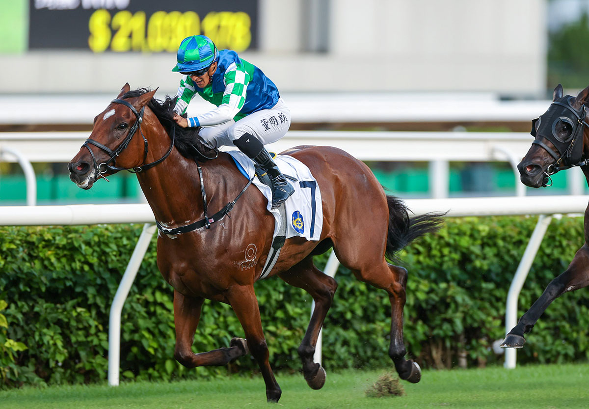 精英盃，合夥奔馳可走得更遠 – Flameracing