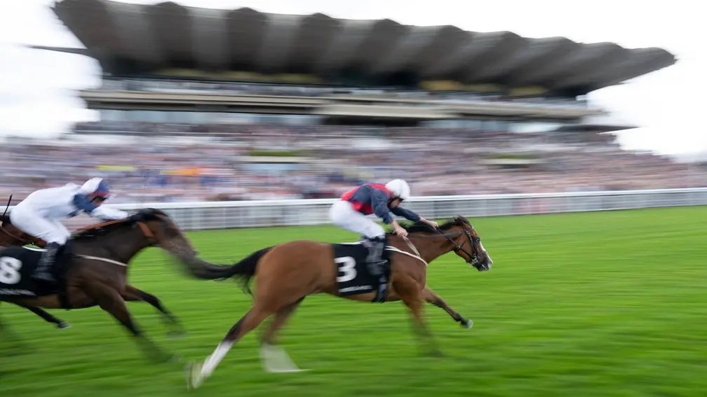 2025年8月22日希望錦標賽馬日（S3）及楠索普錦標賽日（S4）最終推介 – Flameracing