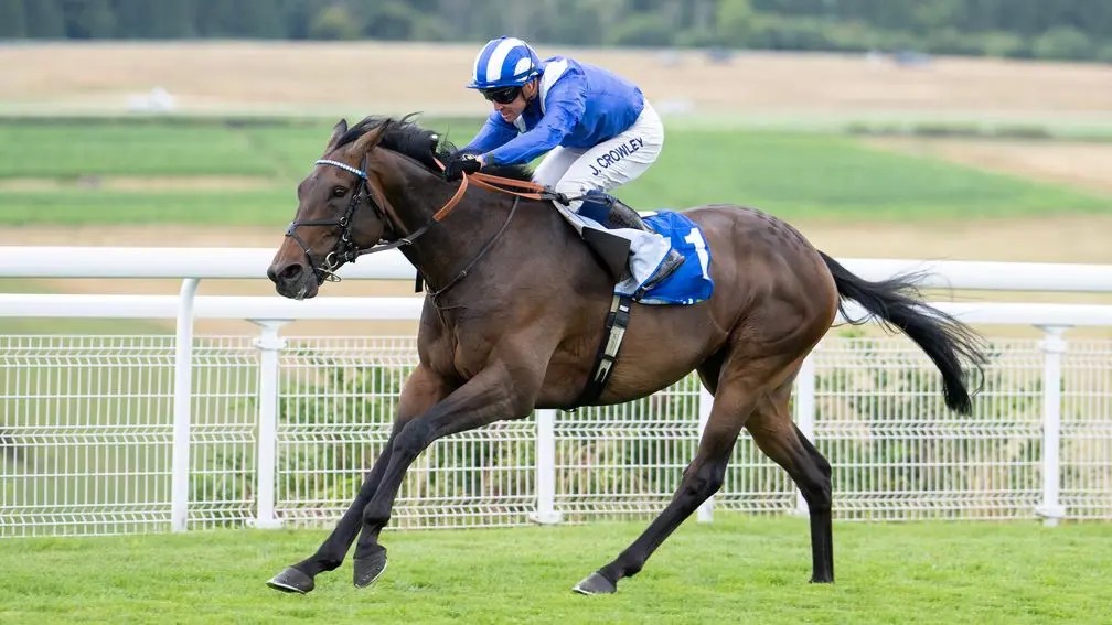 每日賽馬晚報（2025年8月3日），🇬🇧我愛惜第七度贏出三級賽，🇯🇵杏目第二胎初出避母覆轍 – Flameracing