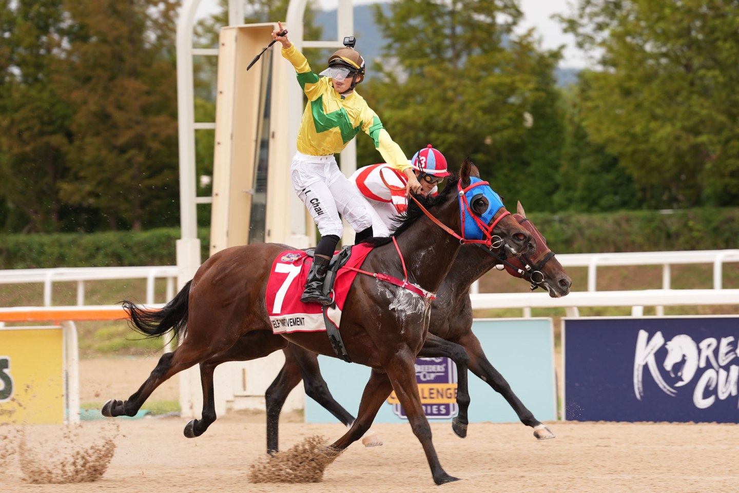 韓國短途錦標，自強不息跳級鬥贏日本精銳 – Flameracing