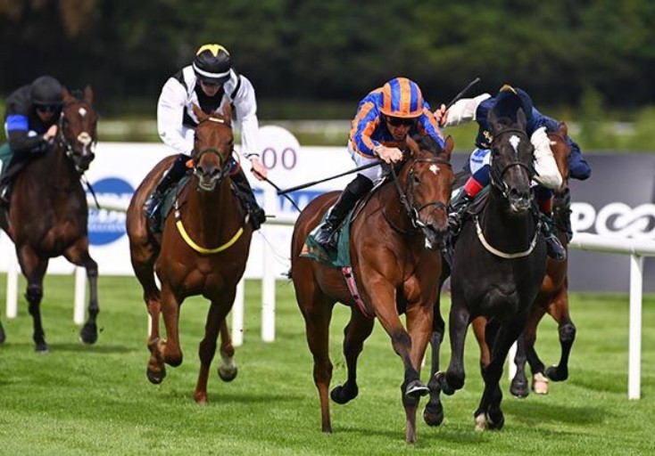 新聞情報收集處（2025年10月份） – Flameracing