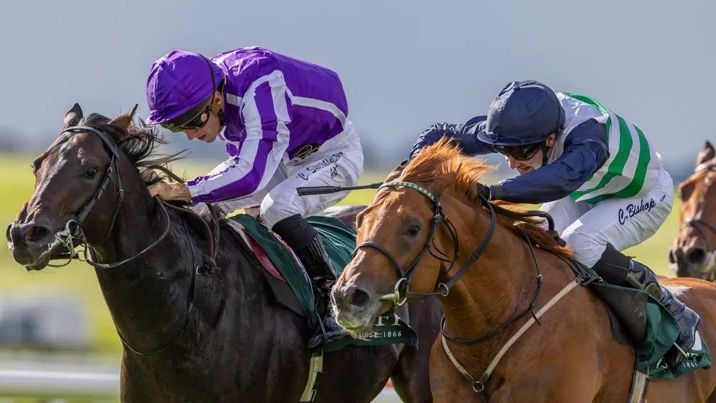 國家錦標，華麗樂章擊敗大勢力 – Flameracing