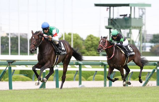 每日賽馬晚報（2025年9月22日），🇯🇵武豐趕到東京於田徑世錦賽直播亮相，🇯🇵金鎗六十參加馬術比賽 – Flameracing