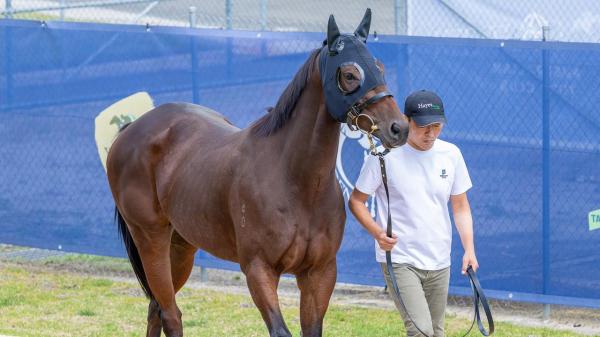 每日賽馬晚報（2025年9月22日），🇯🇵武豐趕到東京於田徑世錦賽直播亮相，🇯🇵金鎗六十參加馬術比賽 – Flameracing